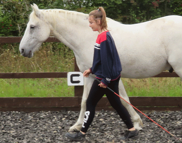 The Thomley Hall Centre - Axis Foundation