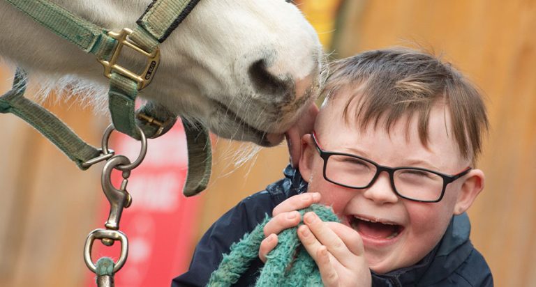 Park Lane Stables - Axis Foundation